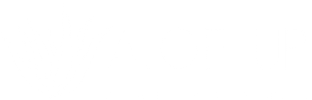 Aloe Up - Aloe Based Sunscreen and Skin Care